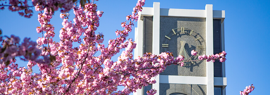 The Campus - Seattle Pacific University