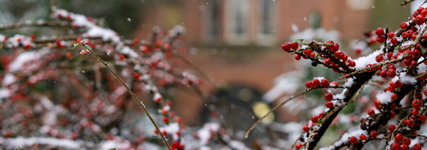 The Campus - Seattle Pacific University